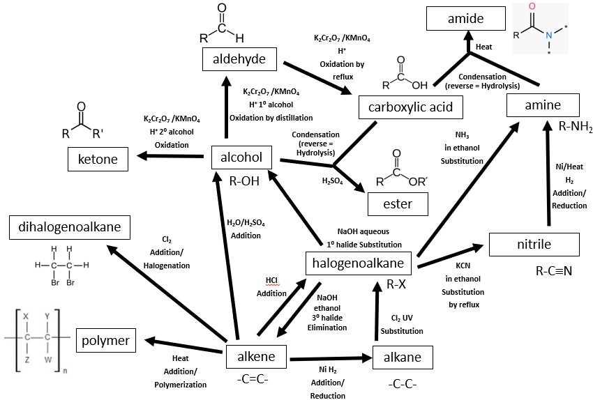 U4 Topic 1: Properties and structure of organic materials - ATAR ...
